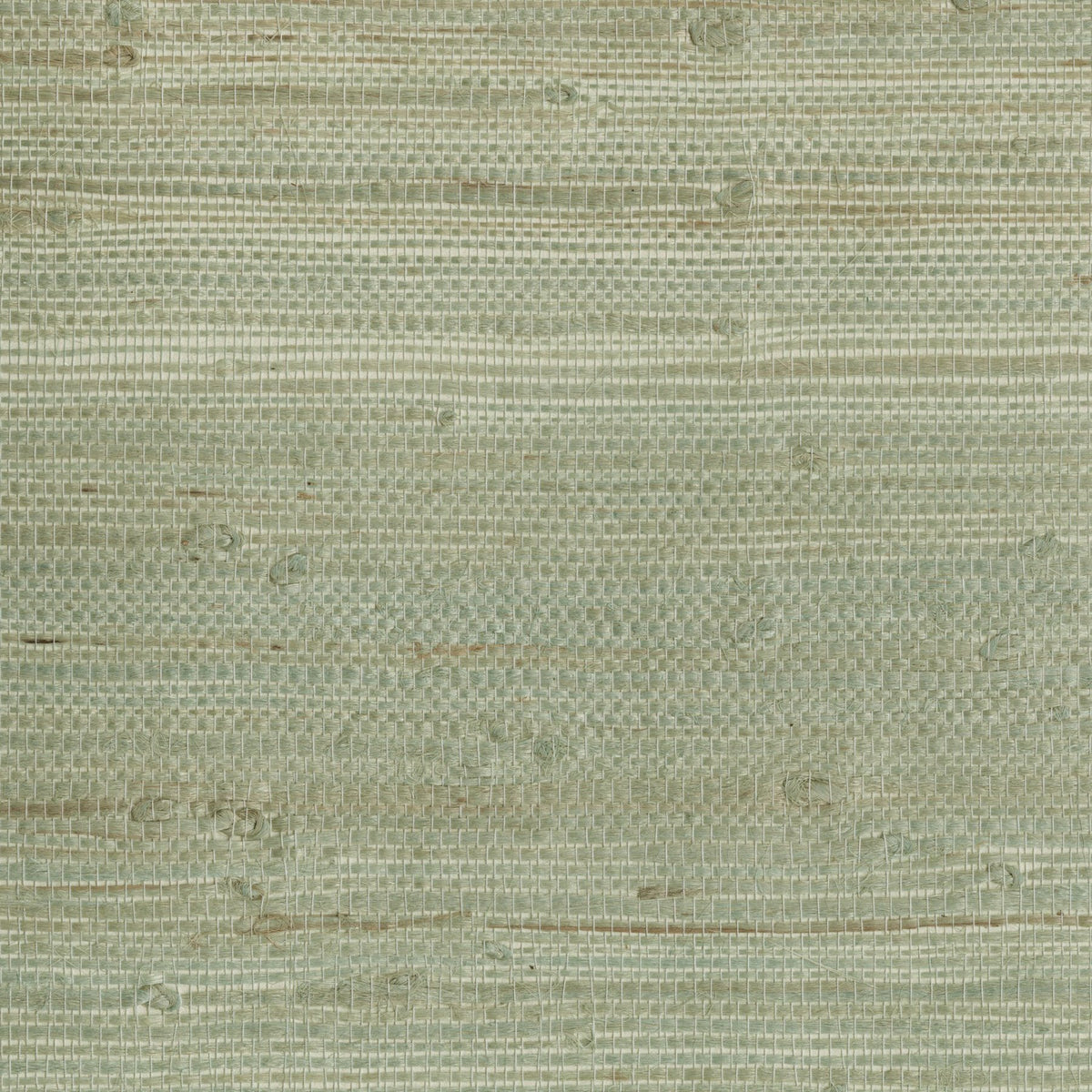 Myogen Golden Green Grasscloth Wallpaper – Wallpaper Warehouse