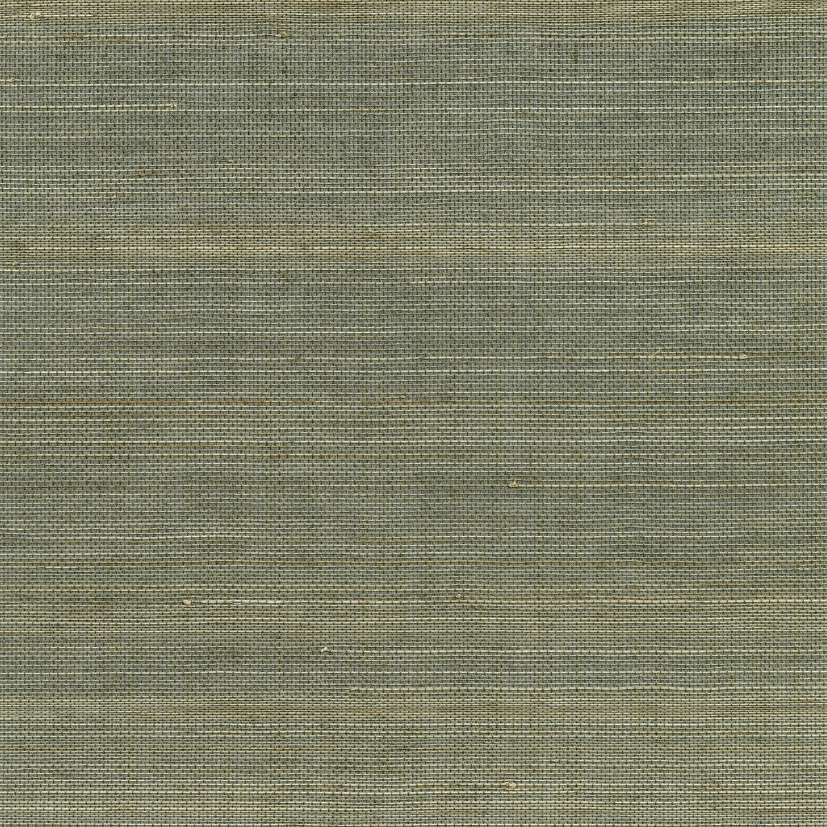 Salisbury Grey Grasscloth Wallpaper with Organic Textures Pattern and ...