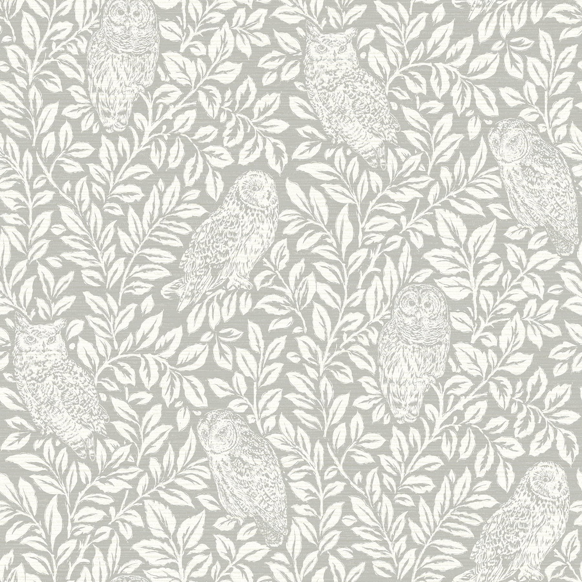 Parliament Light Grey Owl Wallpaper – Wallpaper Warehouse