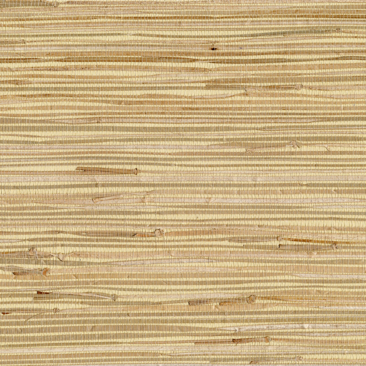 Altay Maize Grasscloth Wallpaper with Textured Woven Grass Motif - Adv ...