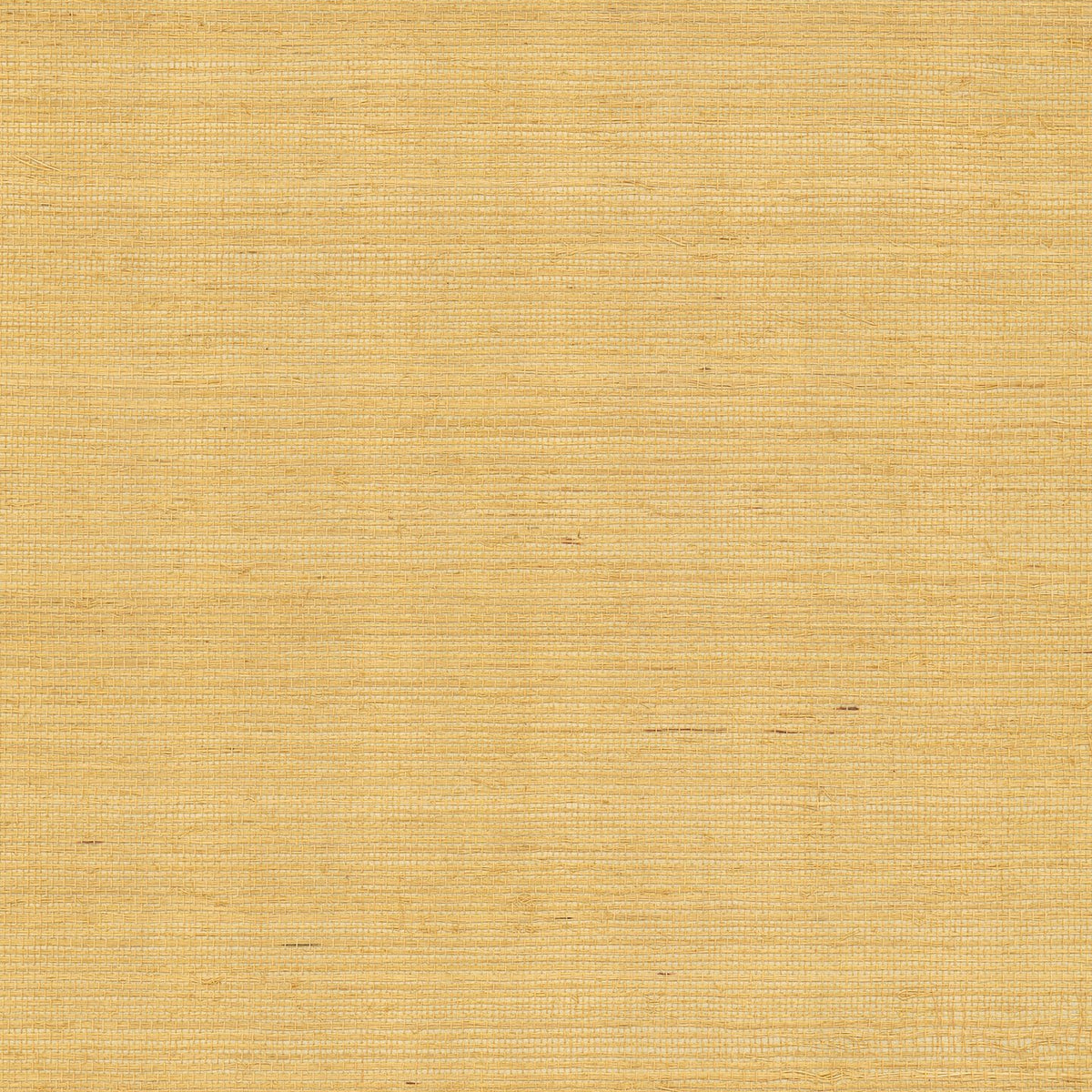 Maguey Sisal Gold Wallpaper with Metallic Sisal Grasscloth Texture - Y ...